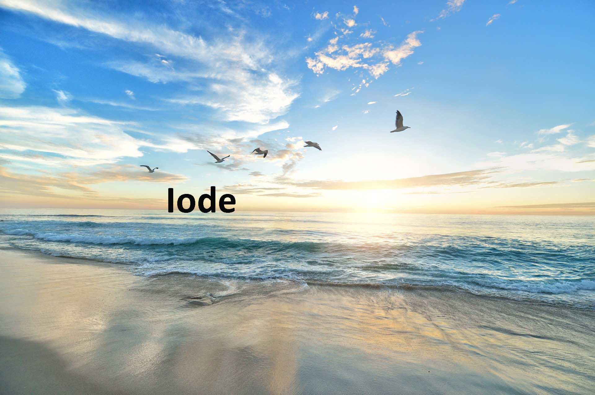 L'iode, à quoi ça sert? - Naturiel